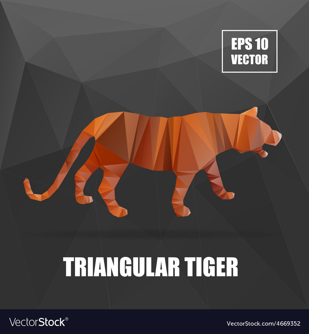 Poly design tiger Royalty Free Vector Image - VectorStock