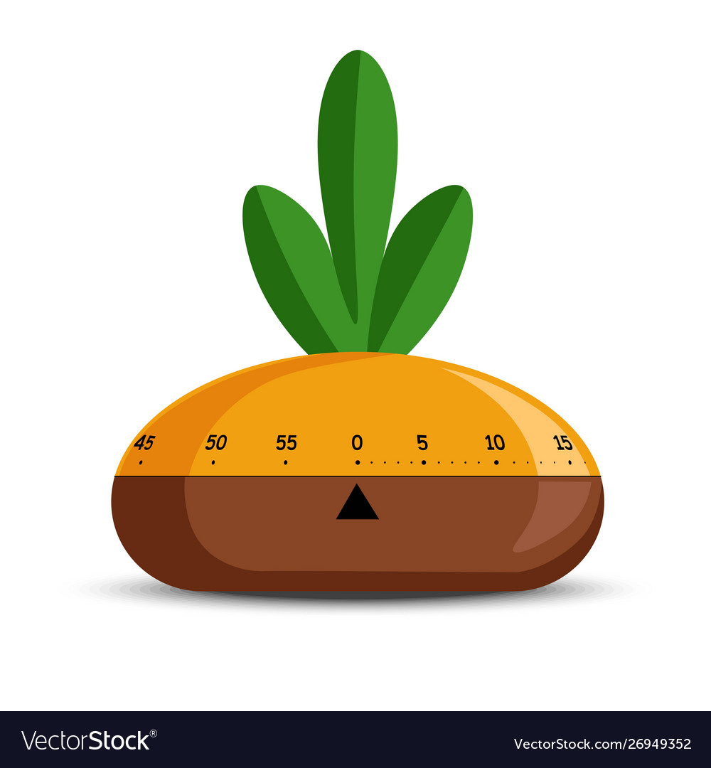 Timer or time measuring tool turnip vegetable Vector Image
