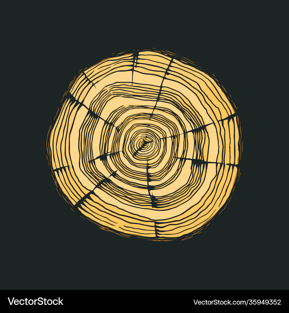 Wood or saw cut piece tree plank and log Vector Image