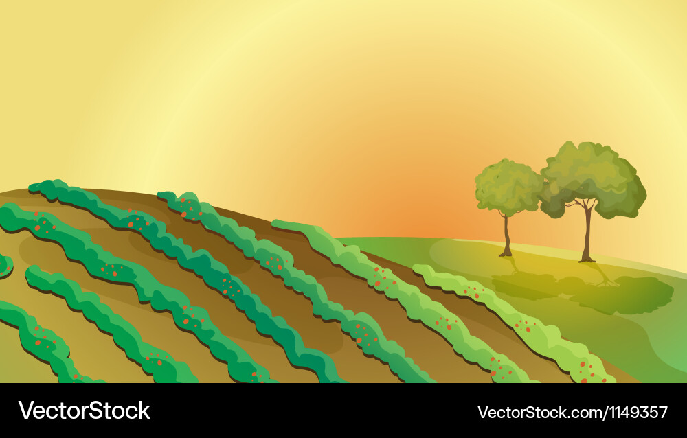 A farm in hills Royalty Free Vector Image - VectorStock