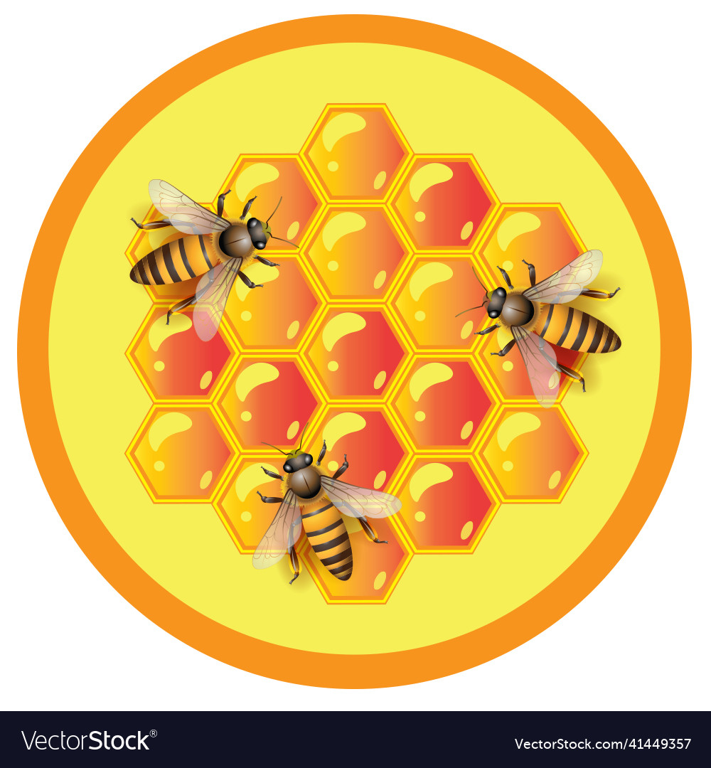 Bee Royalty Free Vector Image - VectorStock