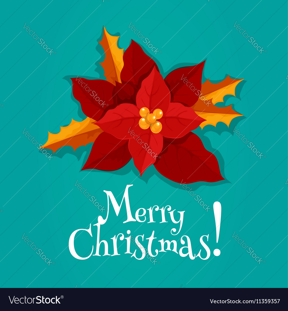 Christmas holiday poster with poinsettia flower Vector Image