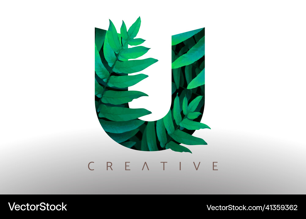 Botanical green eco leaf letter u logo design Vector Image
