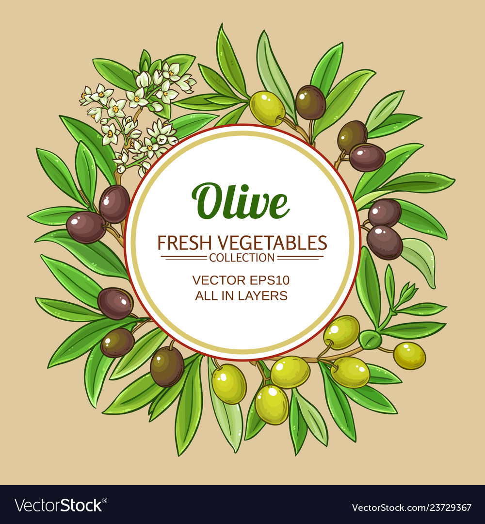 Olive frame Royalty Free Vector Image - VectorStock
