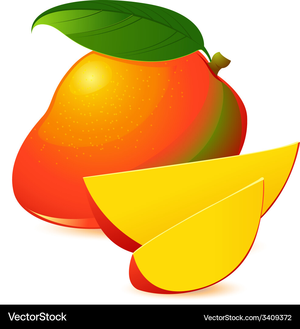 Icon of Ripe exotic mango with two slices Vector Image