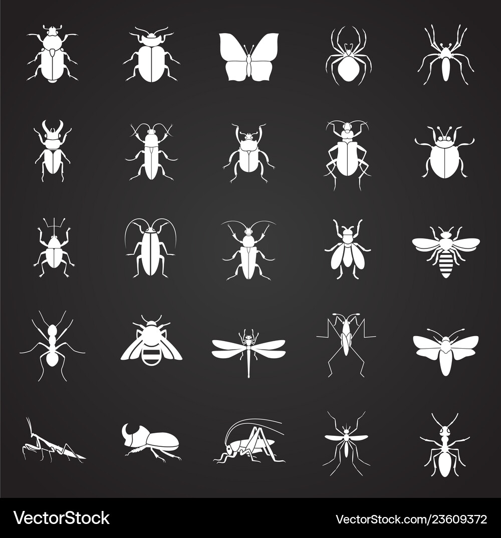 Insects icons set on black background for graphic Vector Image