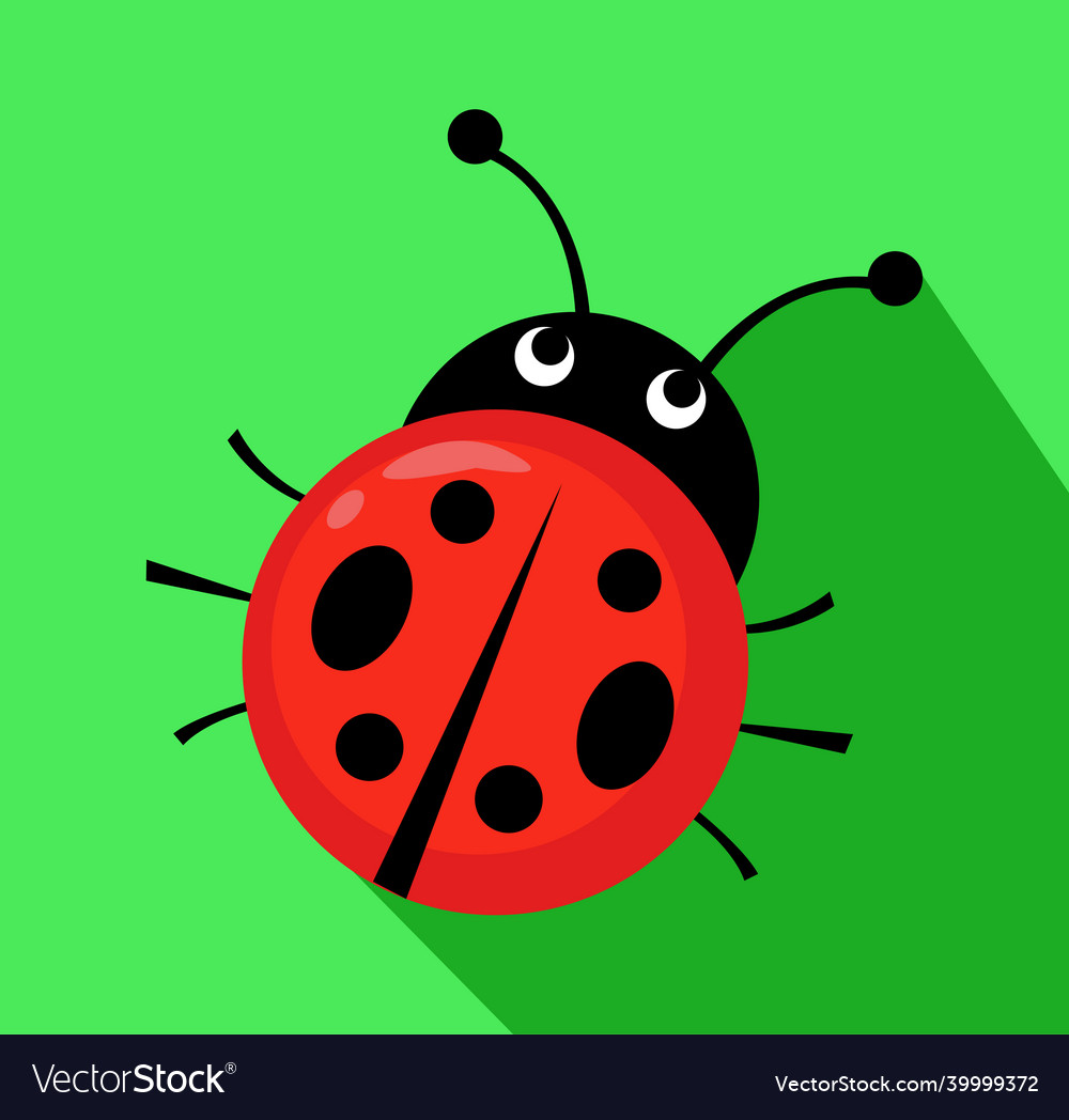 Ladybug Royalty Free Vector Image - VectorStock