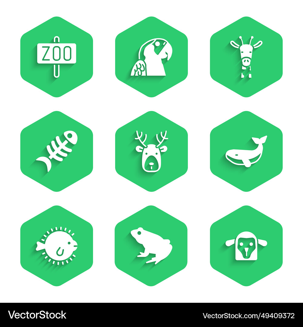 Set deer head with antlers frog sheep whale Vector Image