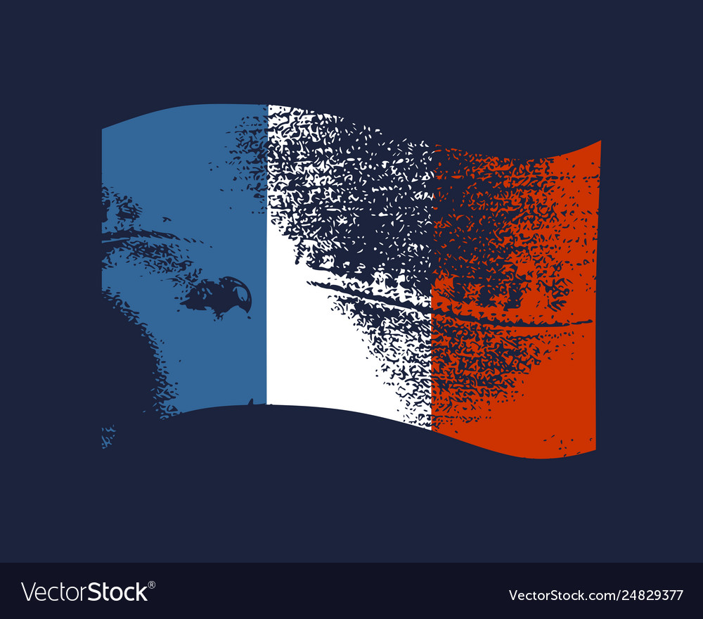 France flag design Royalty Free Vector Image - VectorStock