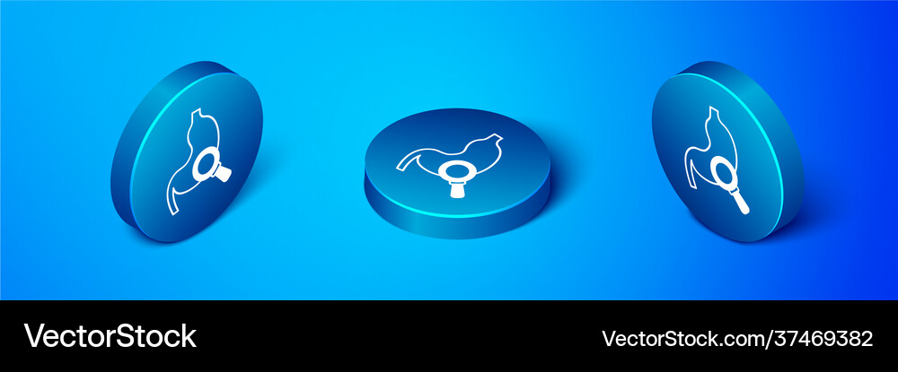 Isometric human stomach with magnifying glass icon