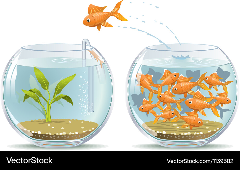 Start of a new life Royalty Free Vector Image - VectorStock