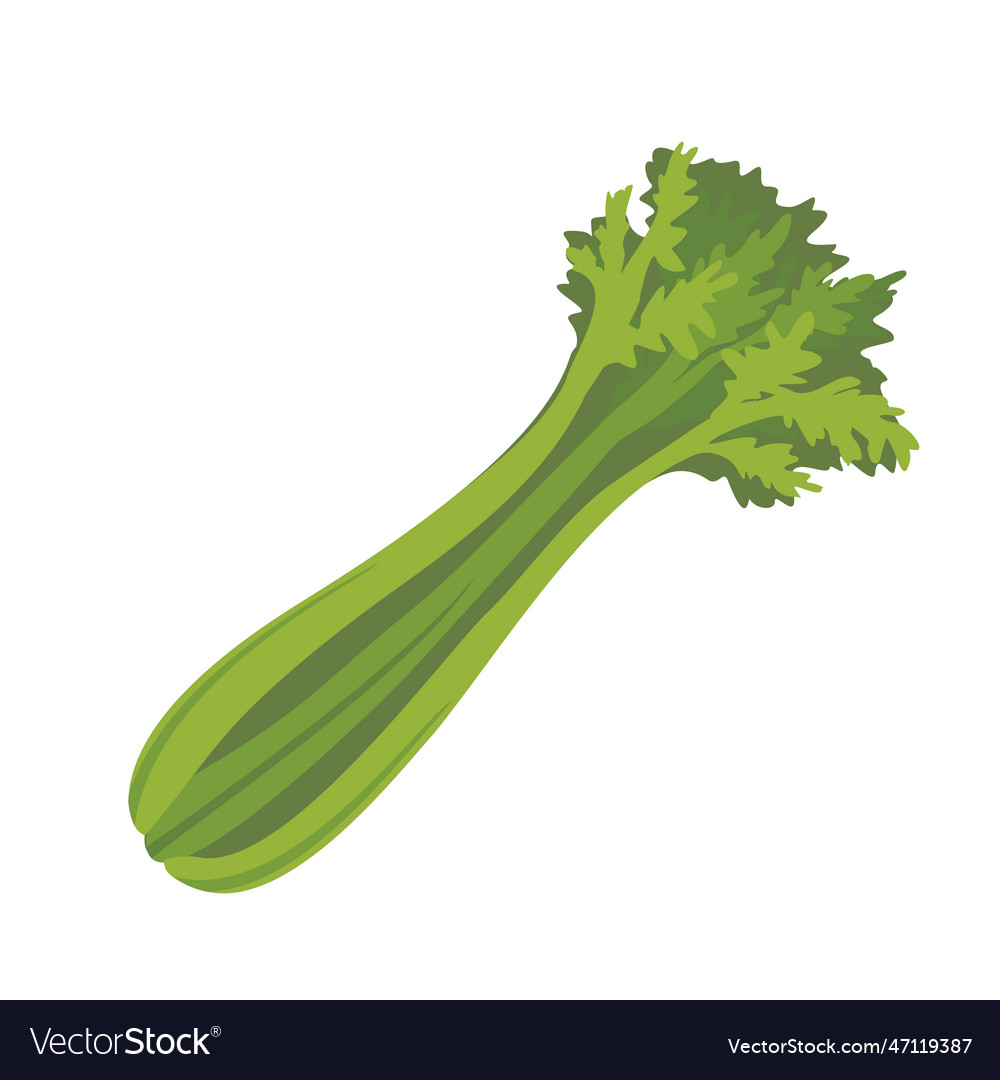 Celery Bunch Royalty Free Vector Image Vectorstock
