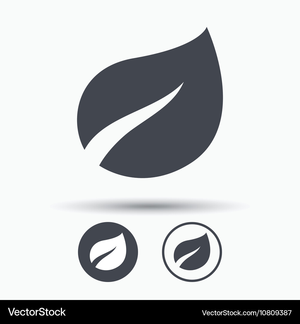 Leaf icon fresh organic product sign Royalty Free Vector