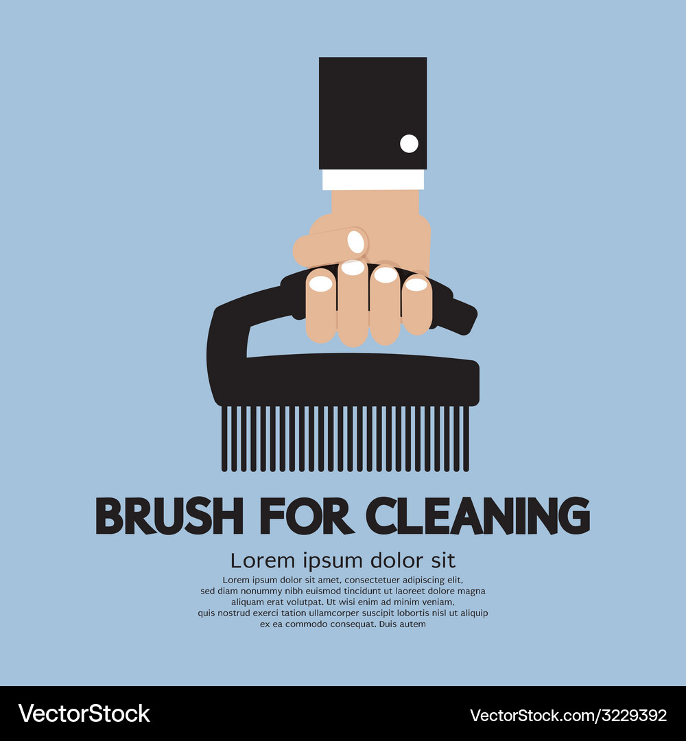 Brush for cleaning Royalty Free Vector Image - VectorStock