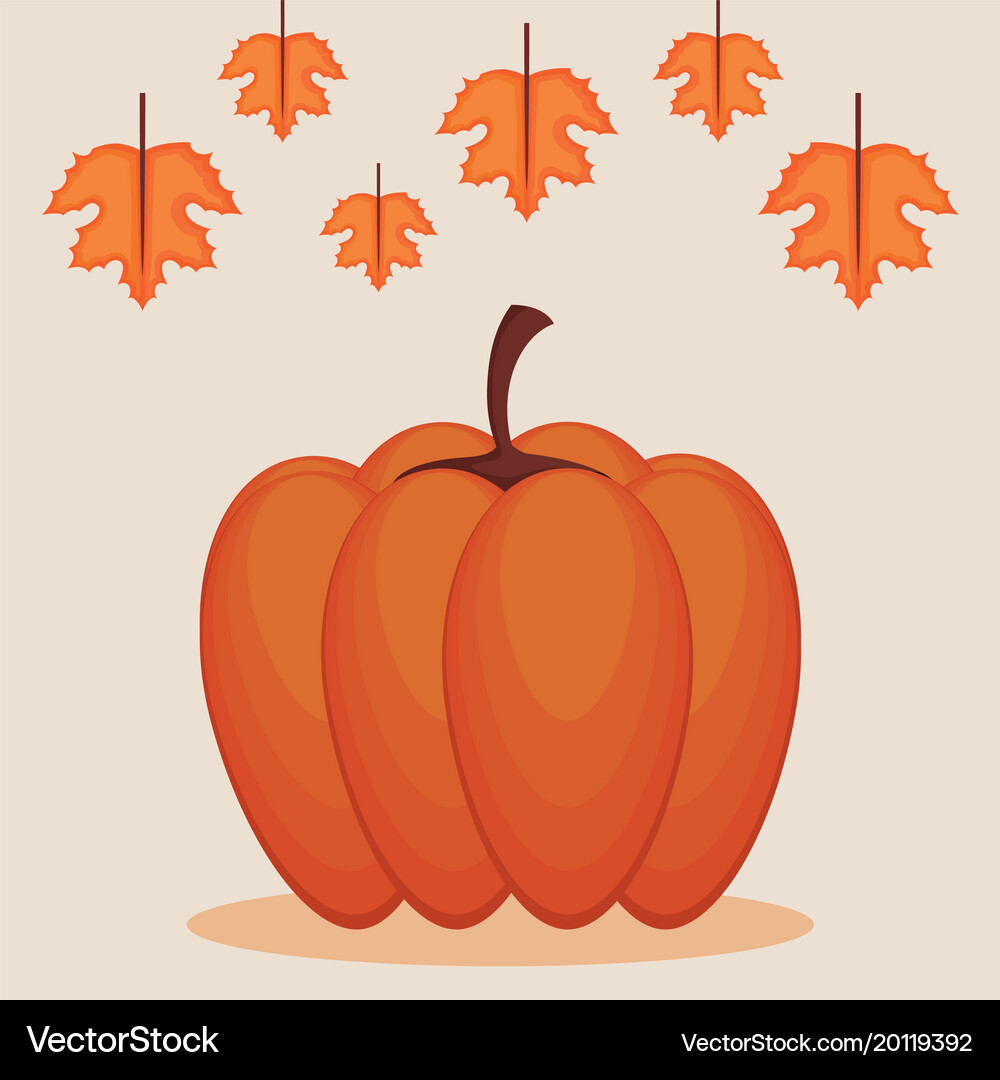 Colorful pumpkin autumn symbol Royalty Free Vector Image