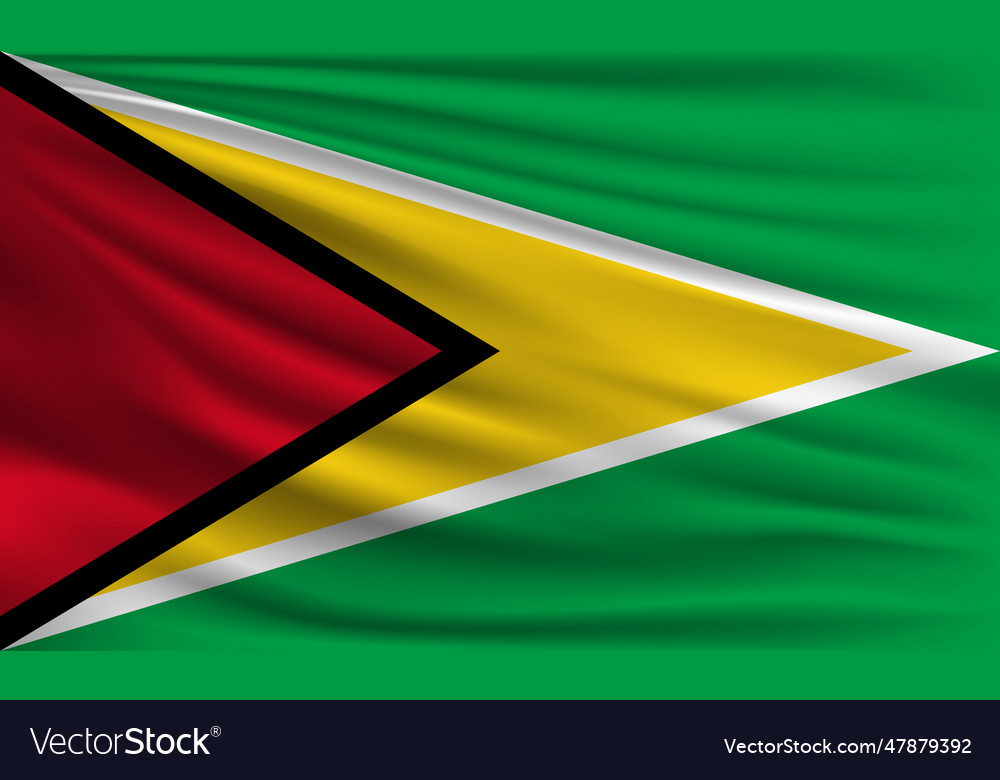 Flag of guyana Royalty Free Vector Image - VectorStock