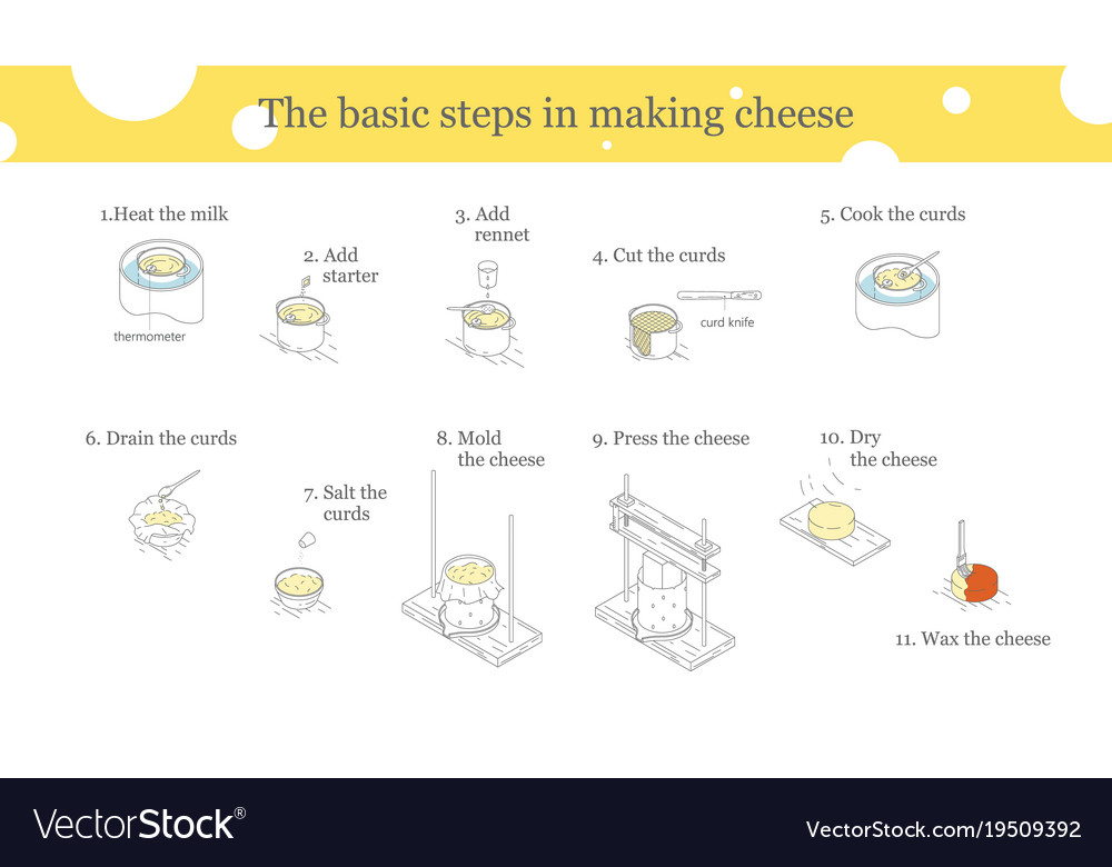 Process Of Cheese Production Royalty Free Vector Image 