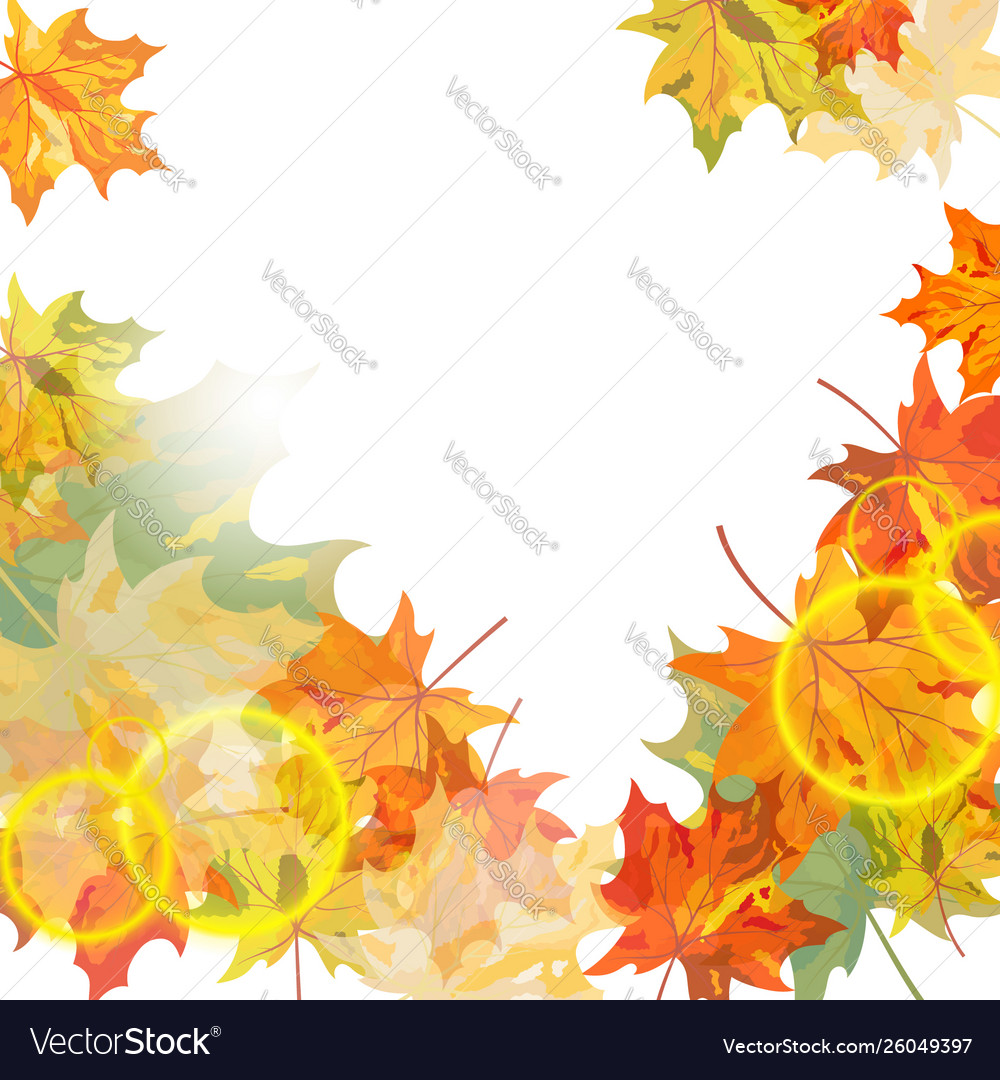 Autumn maple Royalty Free Vector Image - VectorStock