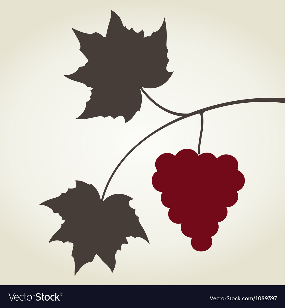 Grapes Royalty Free Vector Image - VectorStock