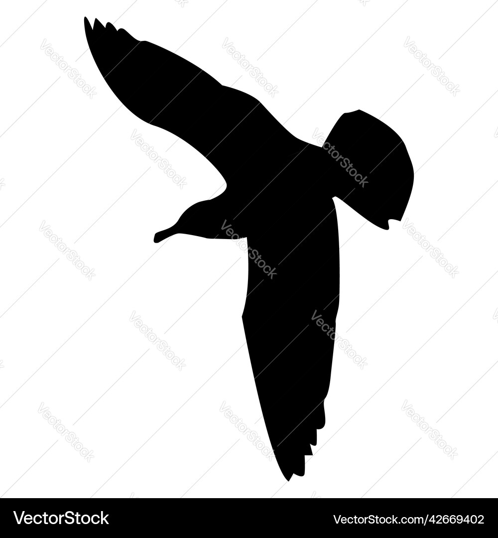 Bottom view of flying seagull silhouette Vector Image