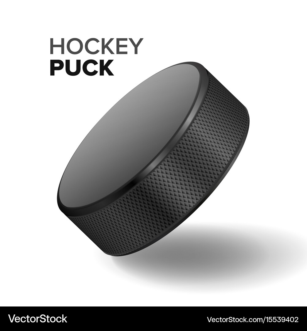 Hockey ice puck isolated Royalty Free Vector Image