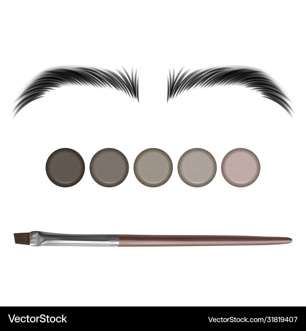 Eyebrow color swatch on white background Vector Image