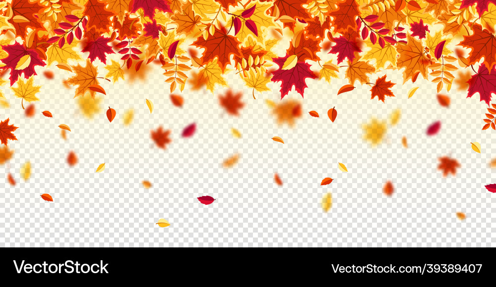Falling autumn leaves nature background with red Vector Image