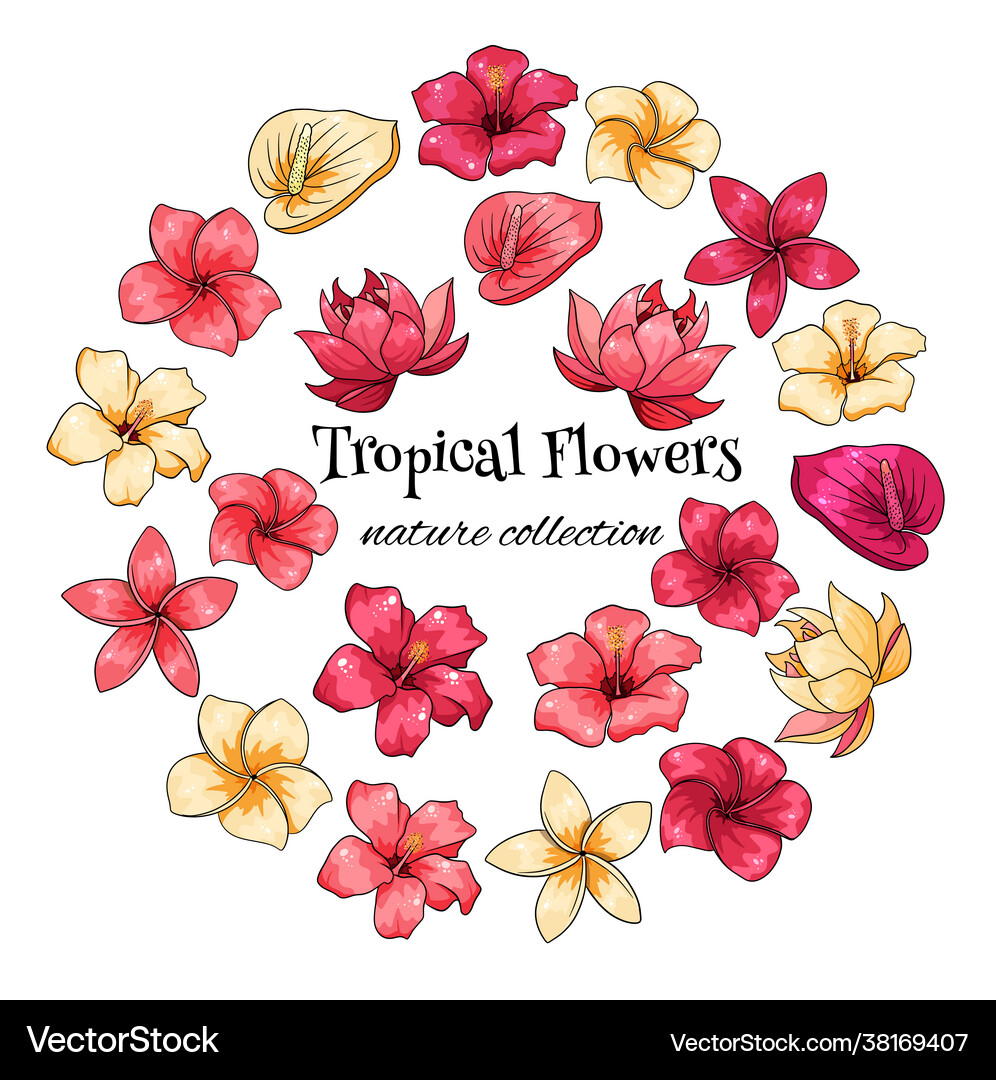 Tropical collection with exotic flowers Royalty Free Vector