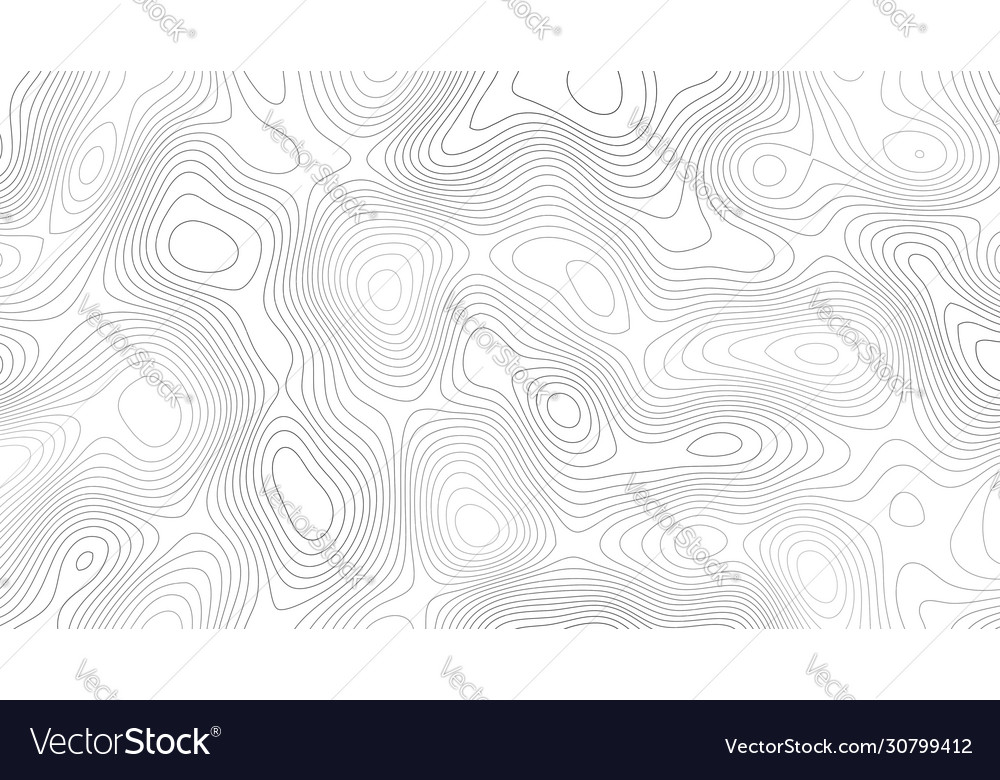 Abstract topographic contour lines map pattern Vector Image Abstract topographic contour lines map pattern Vector Image