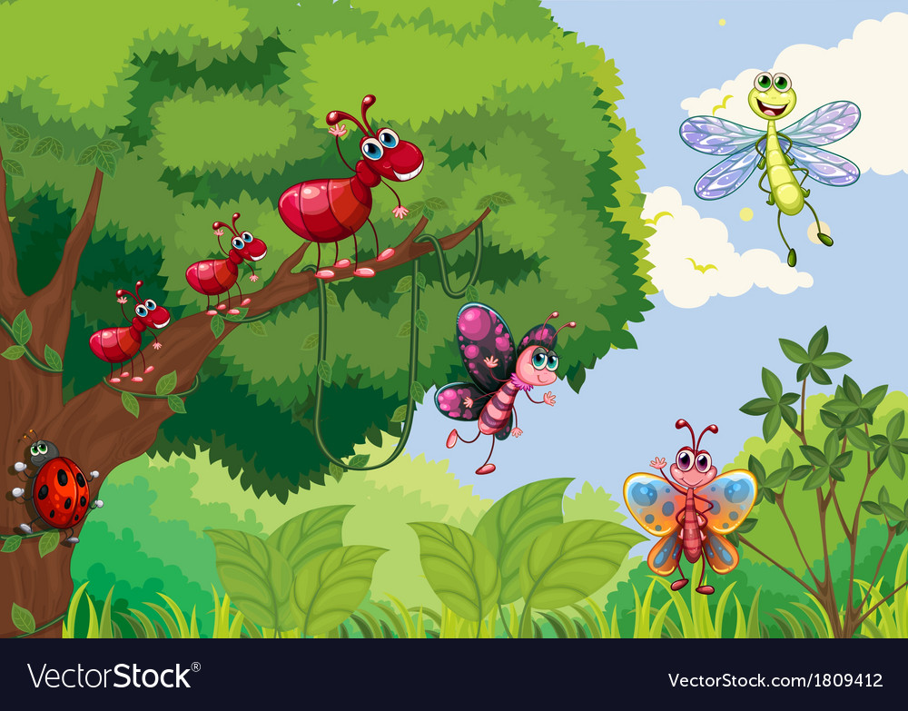 Insects at the forest Royalty Free Vector Image