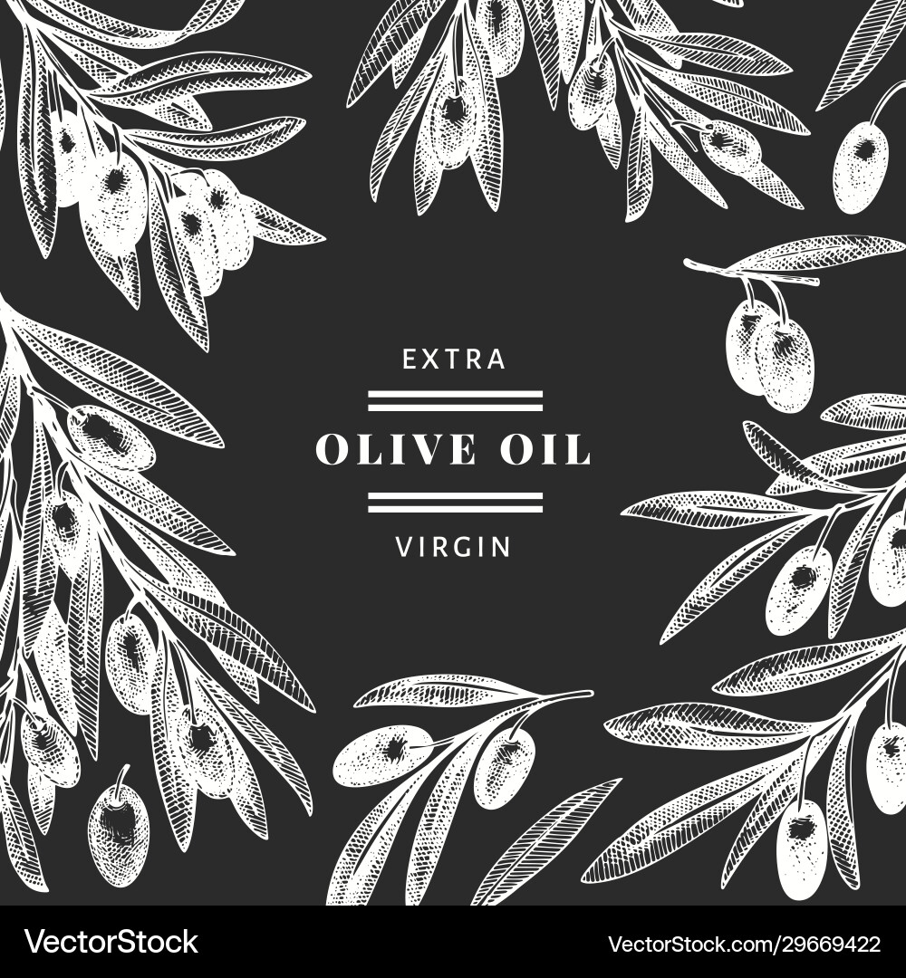 Olive branch design template hand drawn food Vector Image