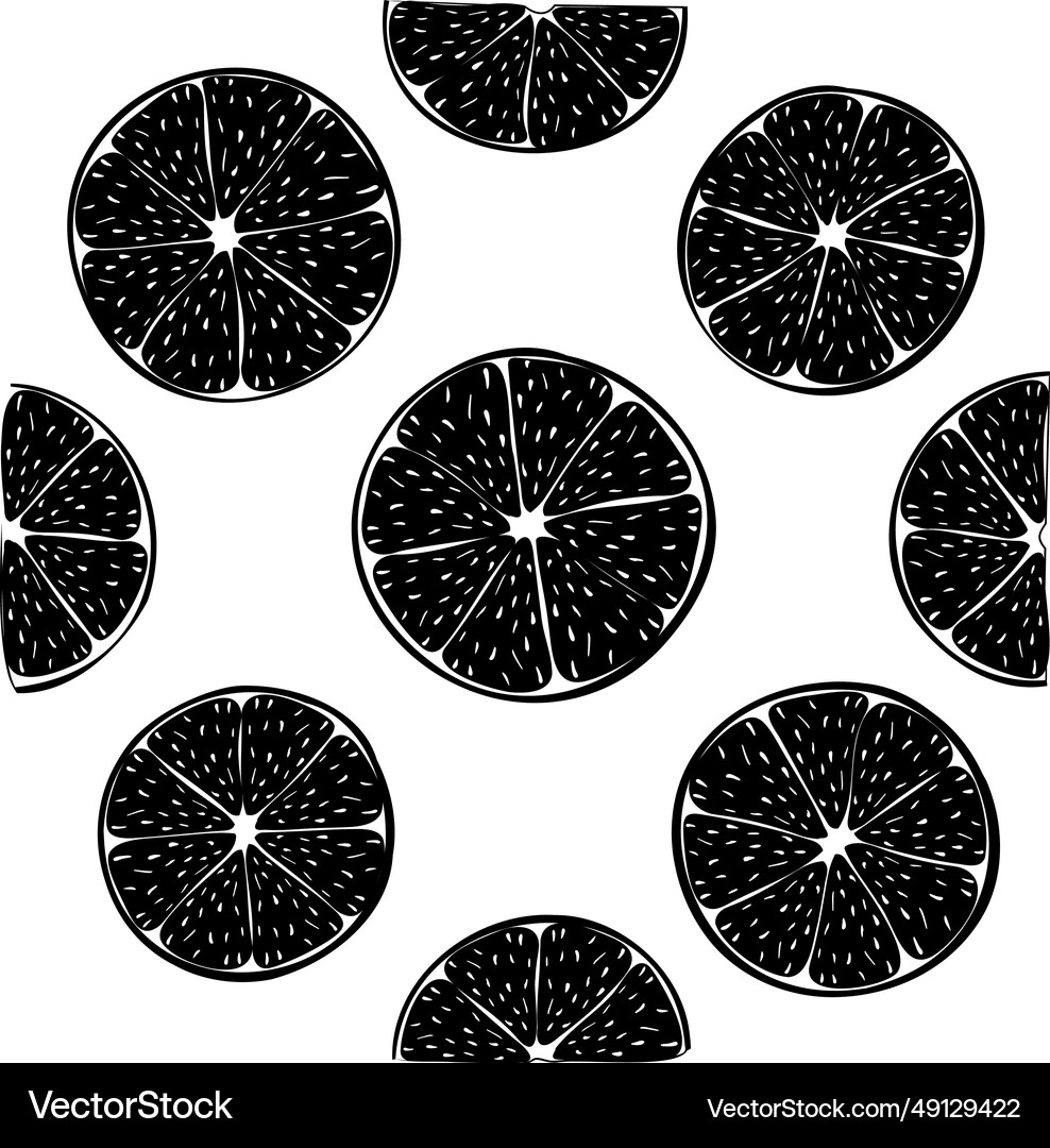 Shape of fresh lime slices Royalty Free Vector Image