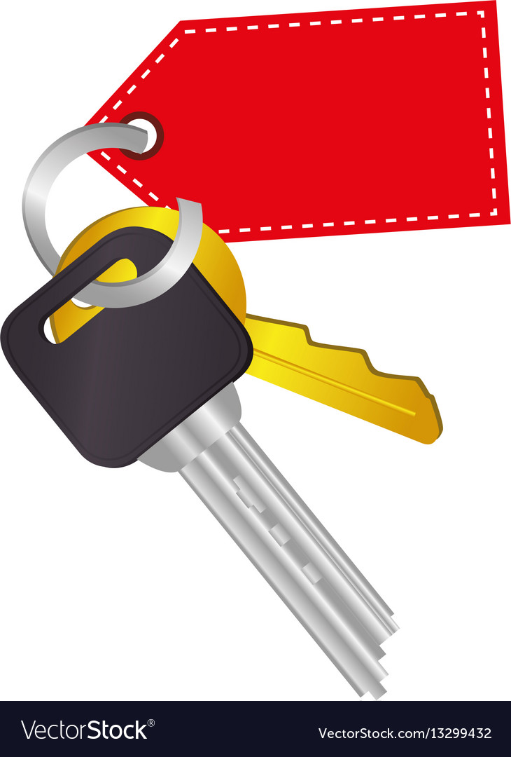Keys car vehicle icon Royalty Free Vector Image