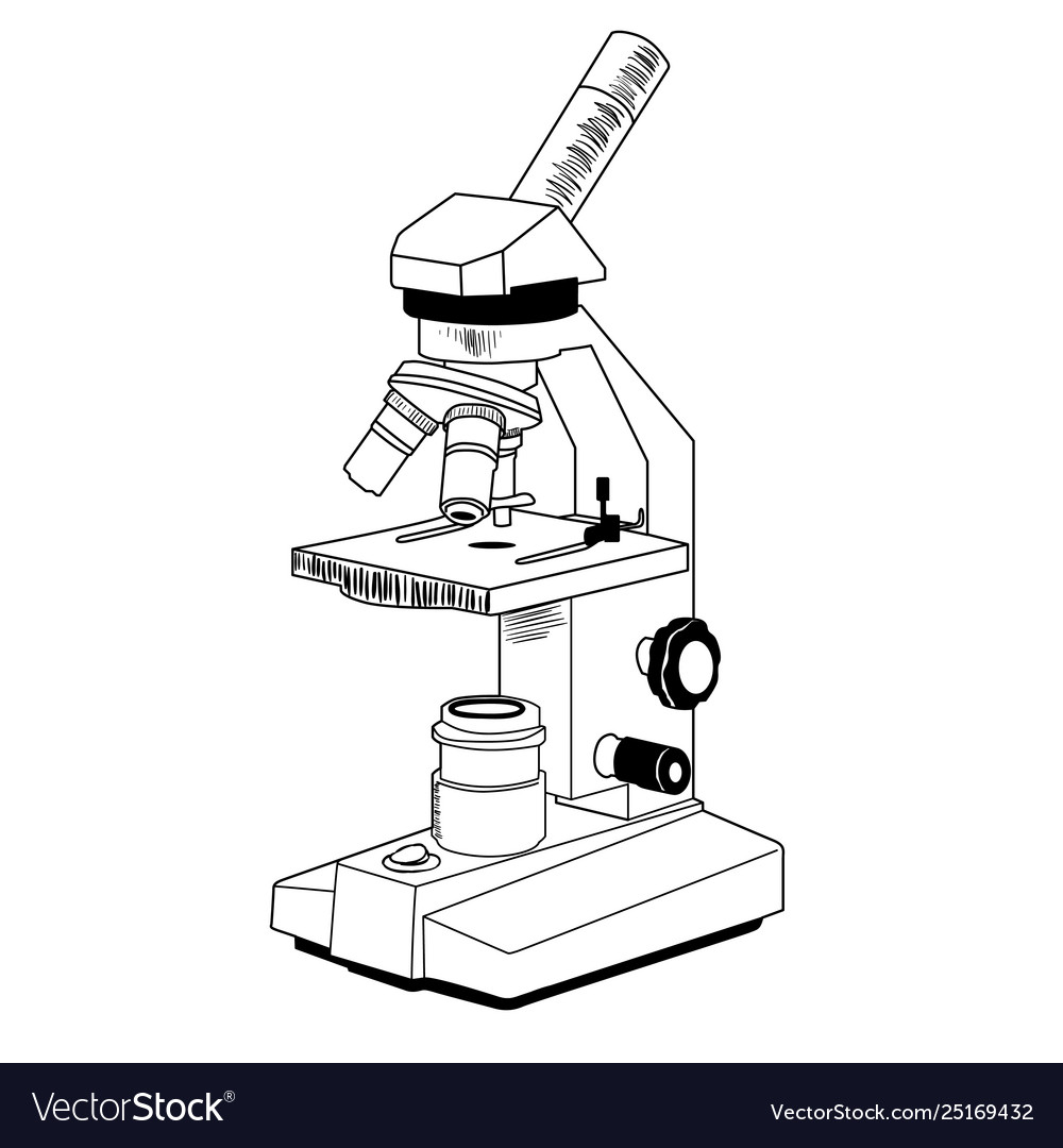 Microscope eps Royalty Free Vector Image - VectorStock