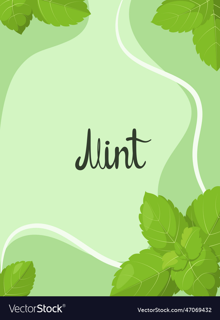 Mint Royalty Free Vector Image - VectorStock