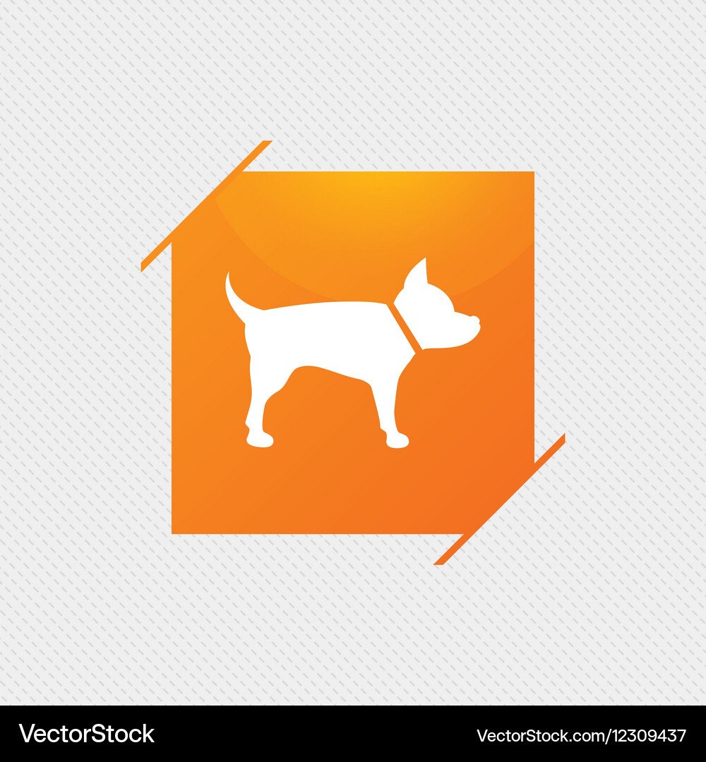Dog sign icon pets symbol Royalty Free Vector Image