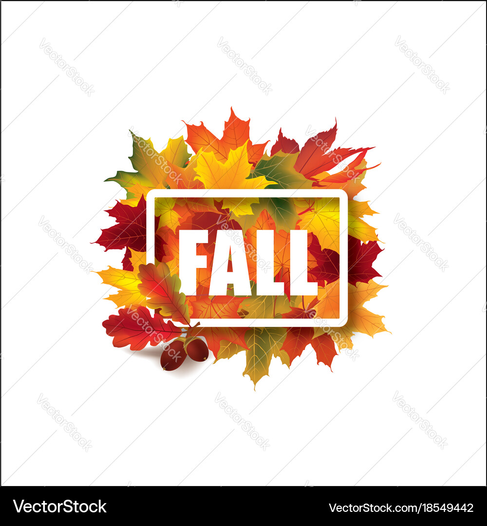 Fall leaves sign autumn leaf frame nature Vector Image