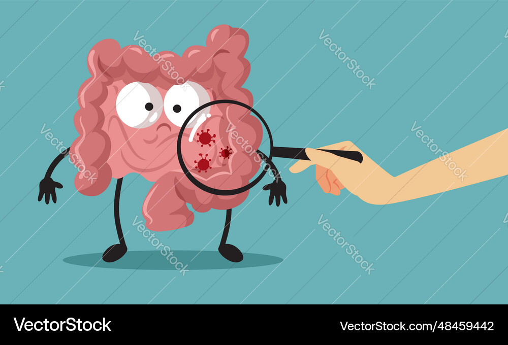 Inspecting sick bowl intestine with a magnifying Vector Image