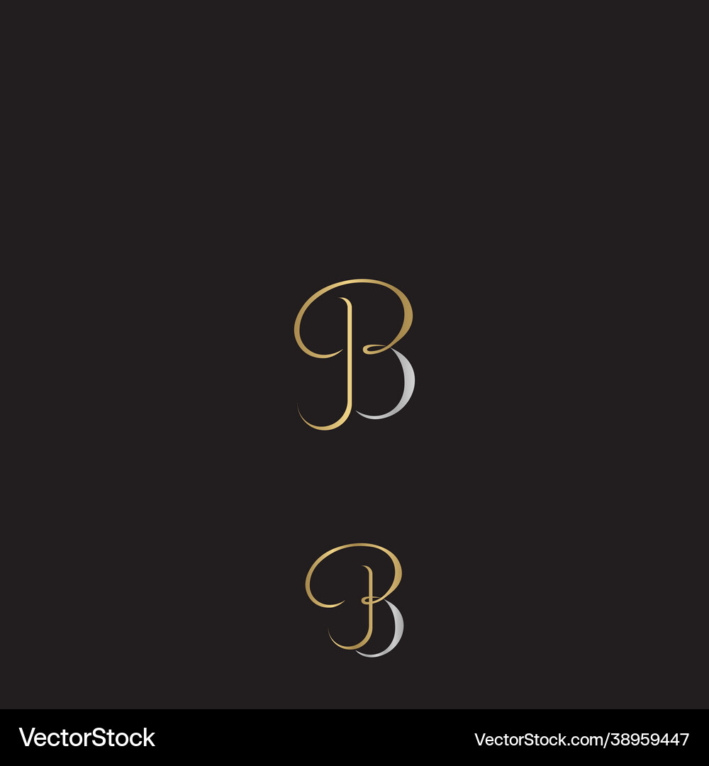 Bp or pb logo and icon design Royalty Free Vector Image