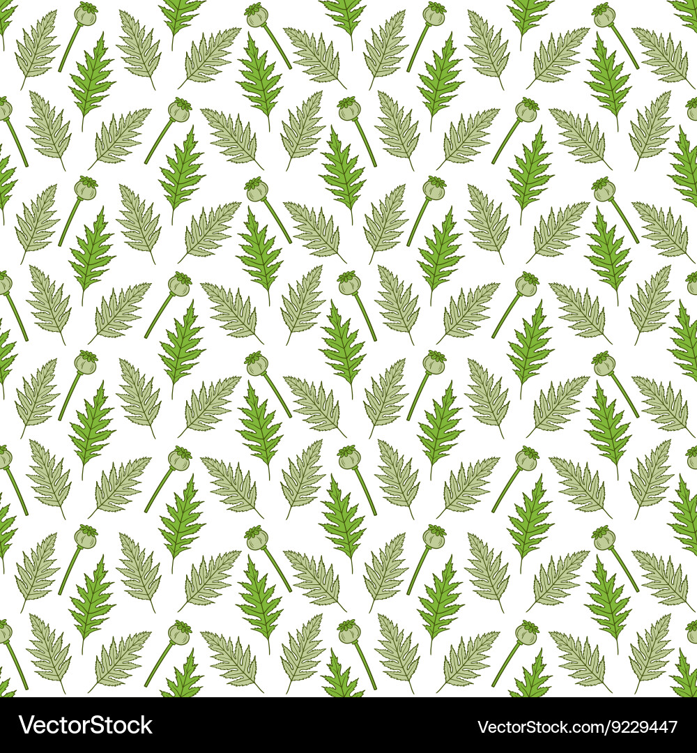 Seamless pattern with poppy heads and leaves Vector Image