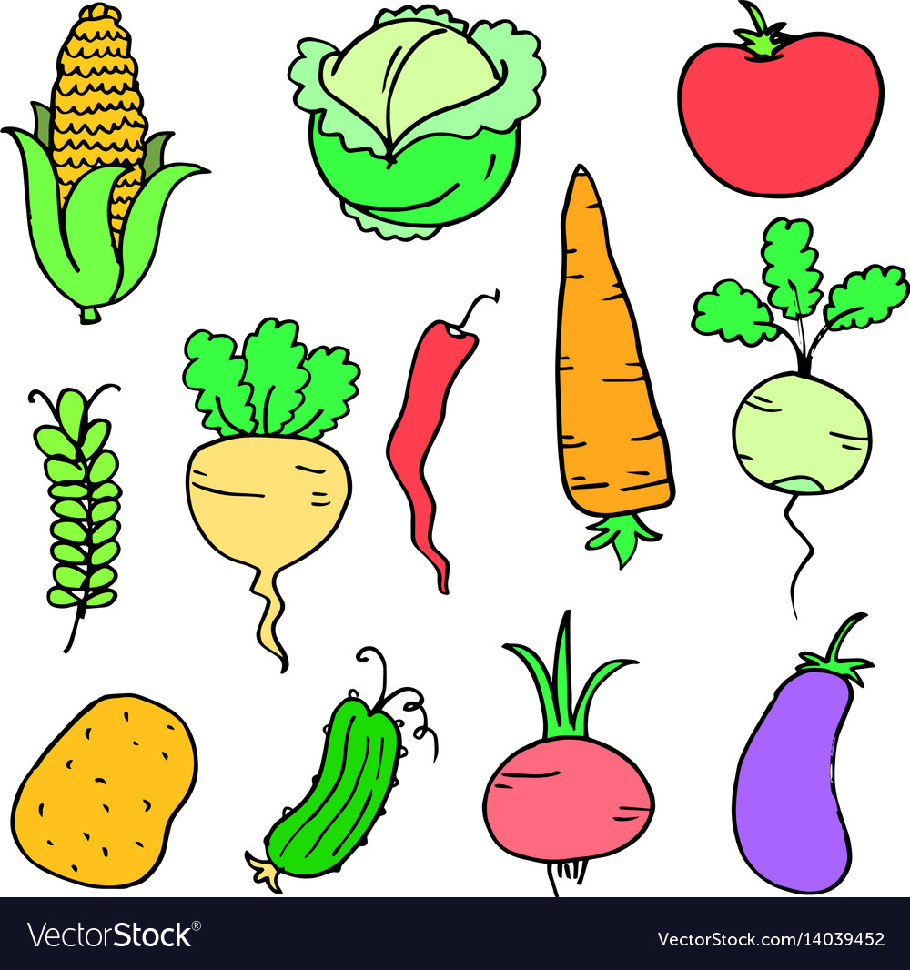 Doodle of vegetable stock collection Royalty Free Vector
