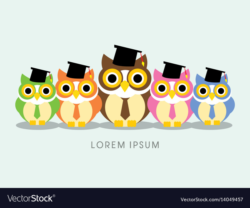 Owl Knowledge Royalty Free Vector Image Vectorstock