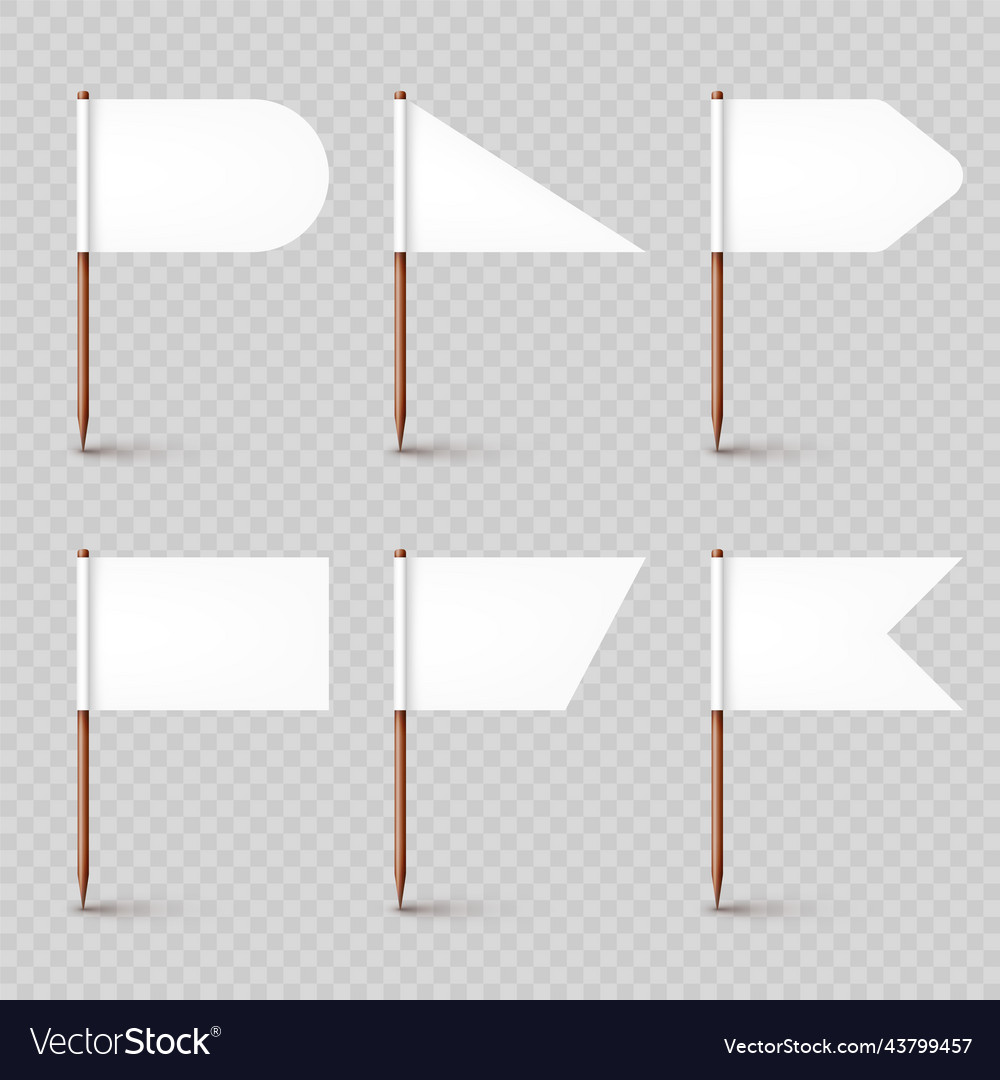 Realistic various toothpick flags wooden Vector Image