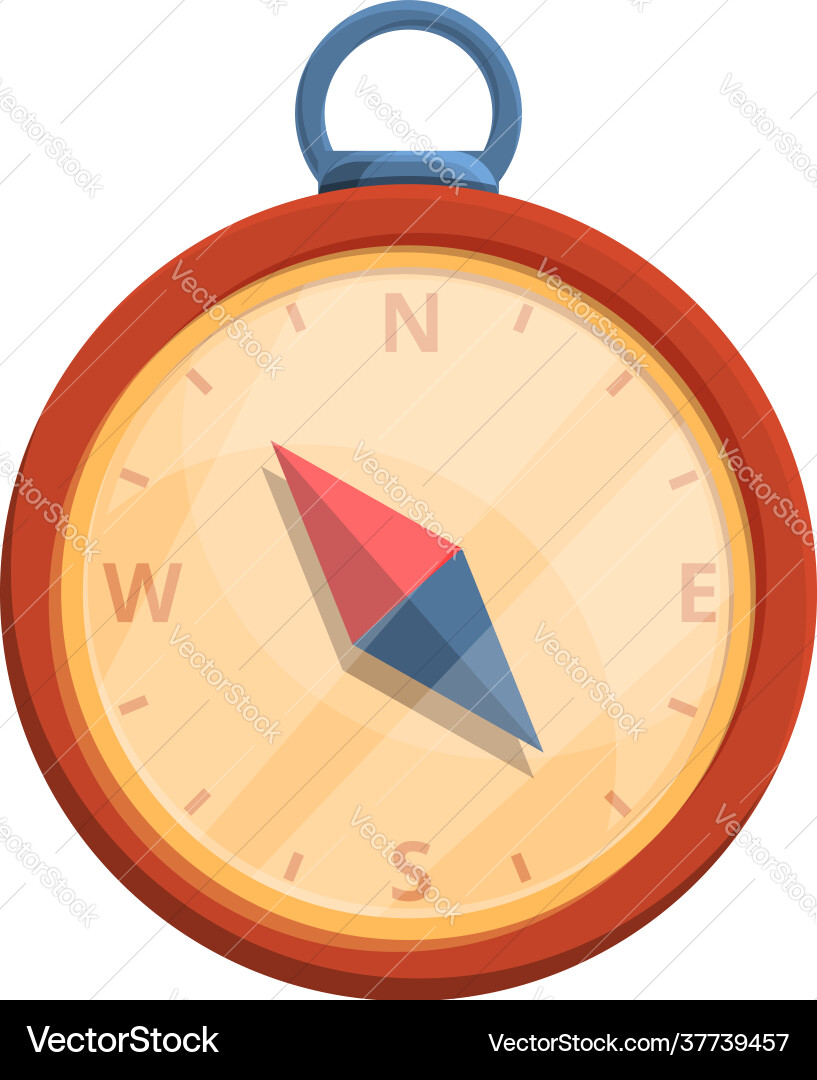 Safari compass navigation icon cartoon style Vector Image
