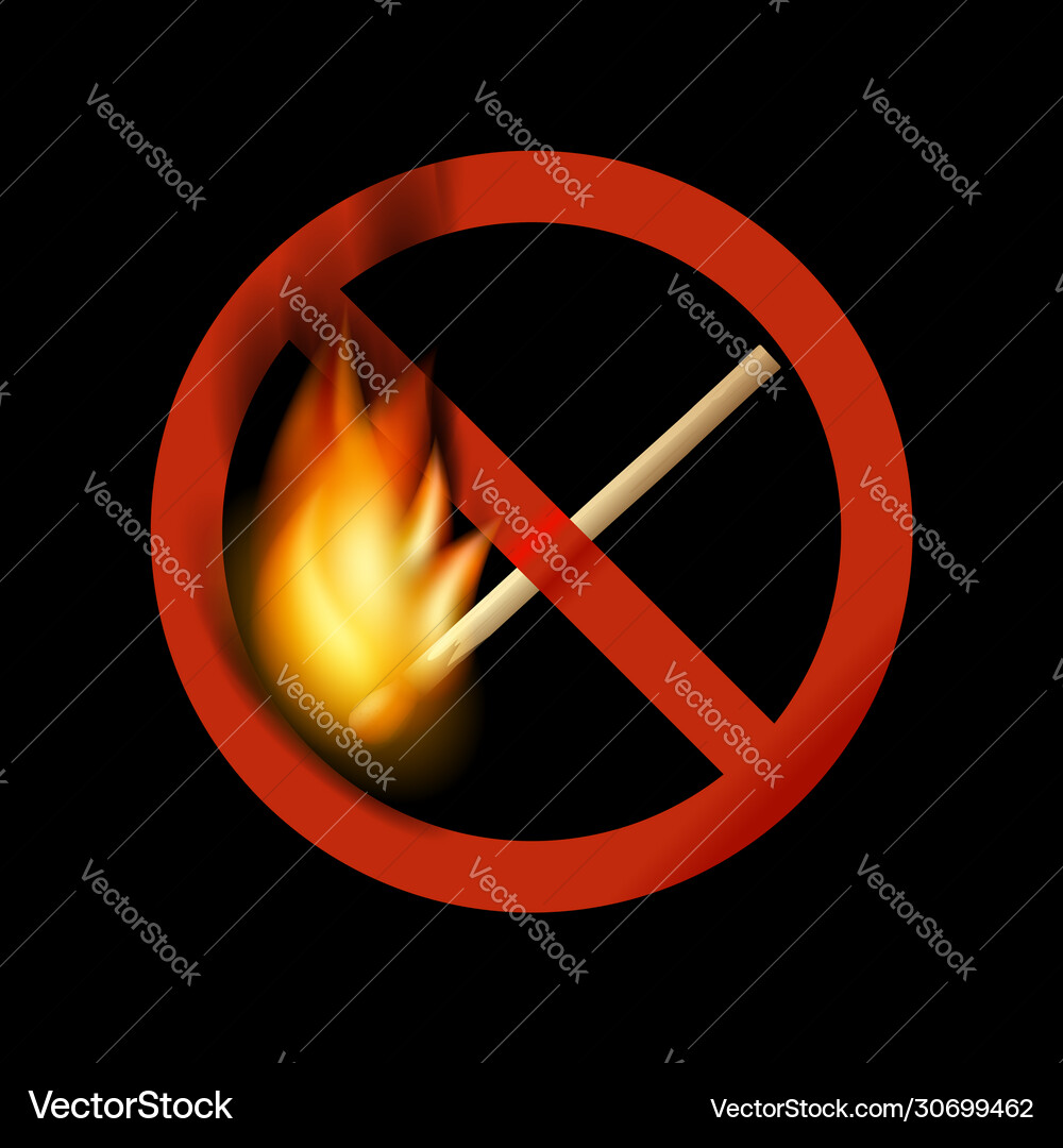 No fire sign prohibition open flame symbol Vector Image
