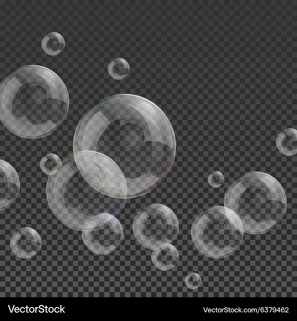 Round transparent clean realistic soap water Vector Image