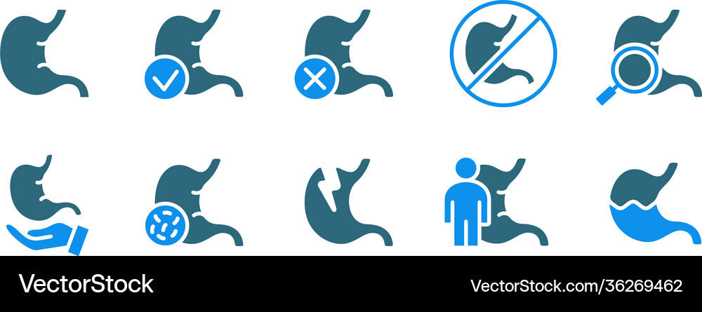 Set human stomach colored icon internal organ Vector Image