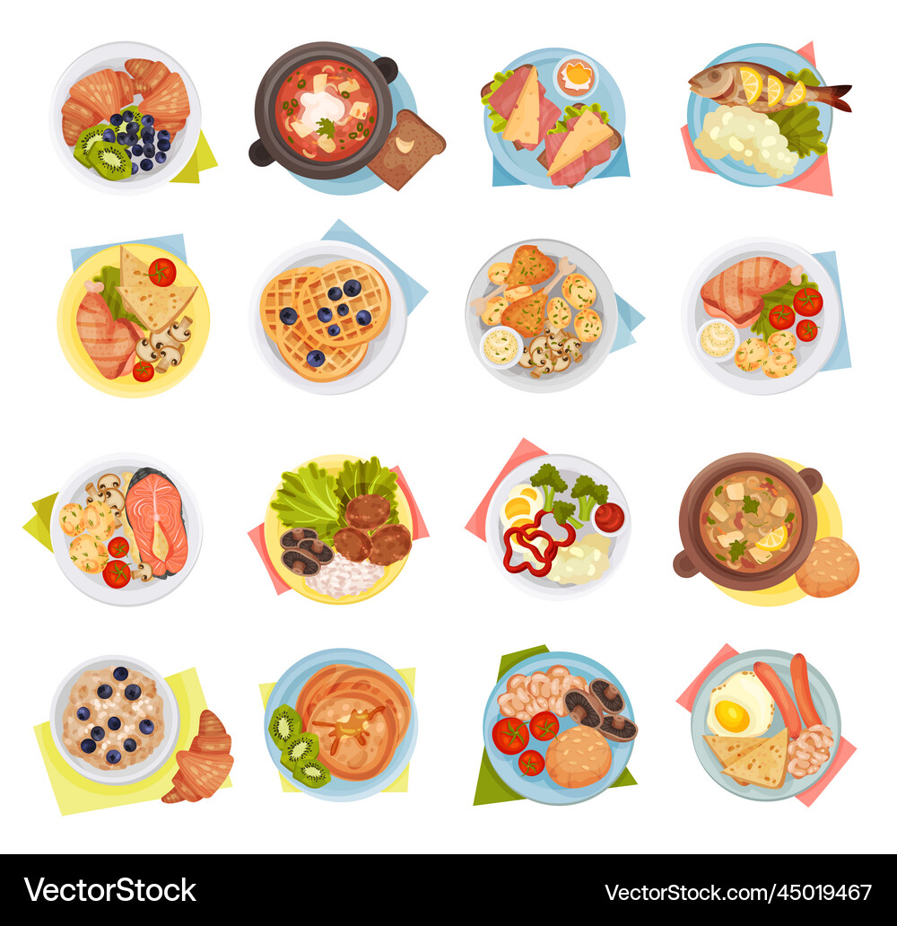 Different food served on plate above view big Vector Image