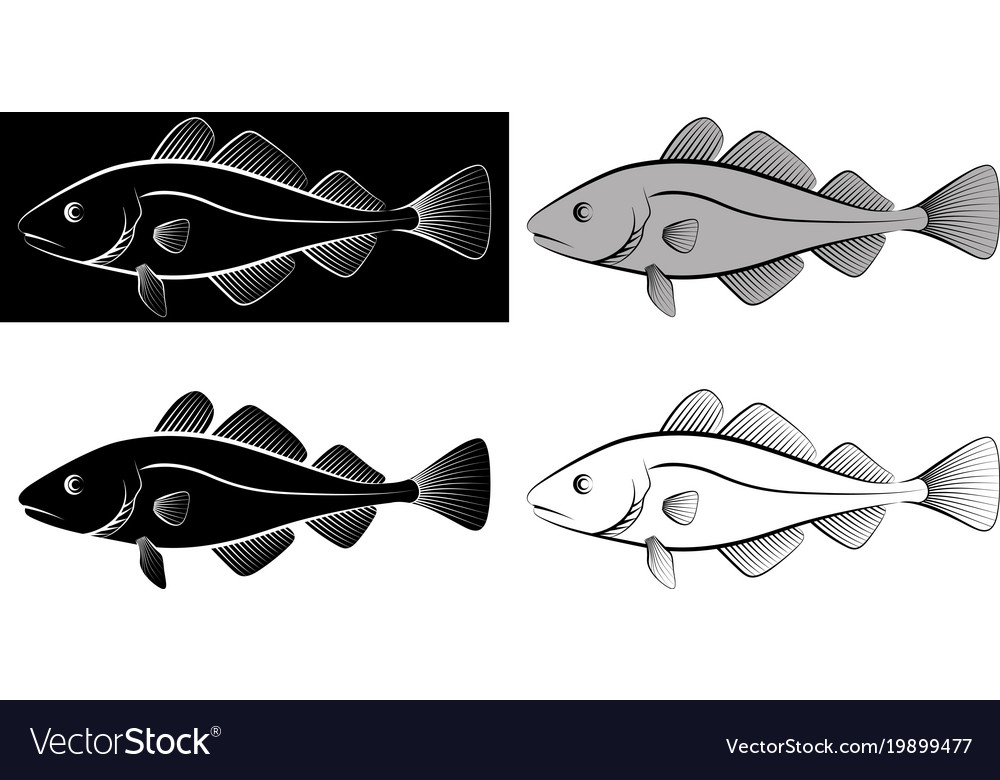 Cod Royalty Free Vector Image - VectorStock