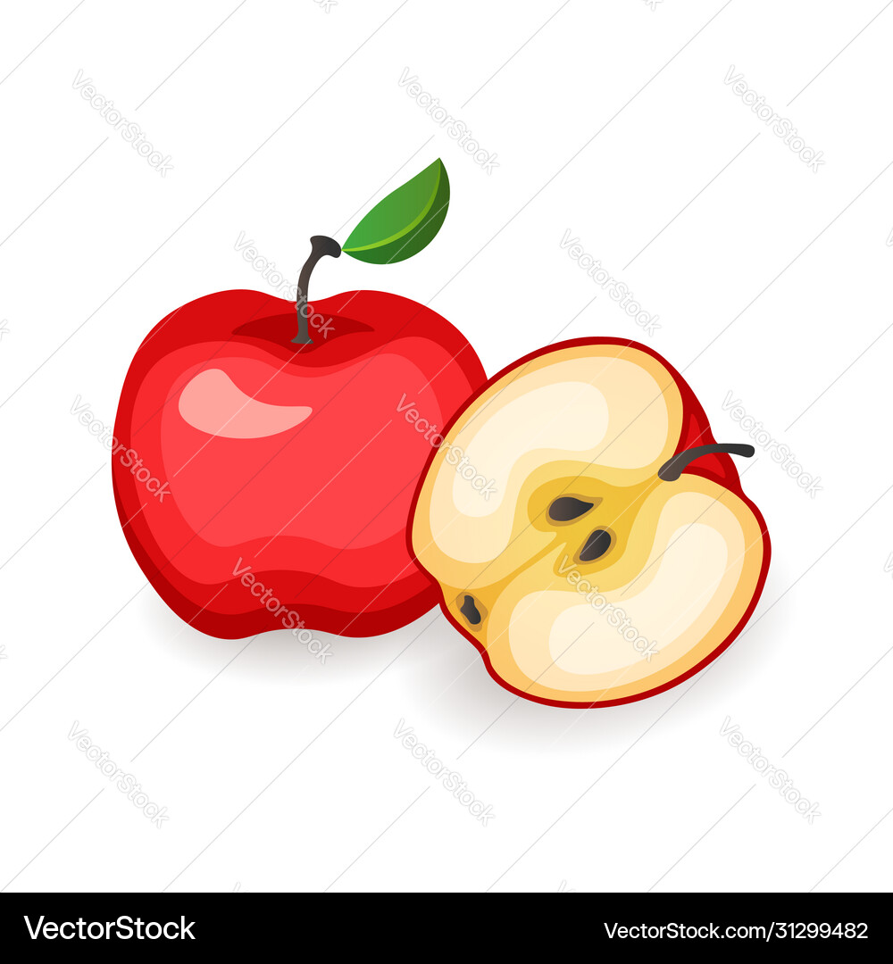 Red whole and cut apples on white background Vector Image